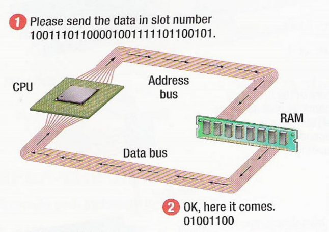 Bus là gì? Các loại Bus trên mainboard