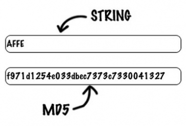 Hàm md5() trong PHP