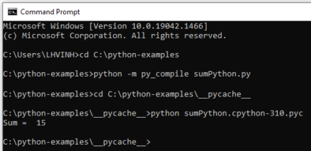 Một chương trình Python được thực thi như thế nào?